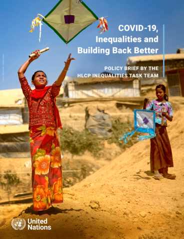 COVID 19, inequalities and building back better | DISD