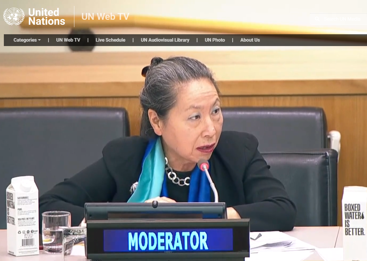 CDP at the Joint Meeting of the Second Committee and ECOSOC ...