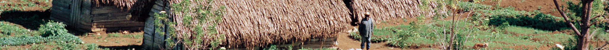 Bodies and Agencies Represented in the MDG Gap Task Force | Economic ...