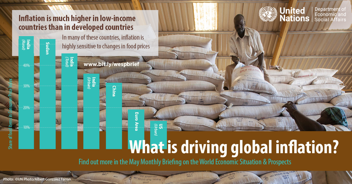 World Economic Situation And Prospects May 2019 Briefing No 126