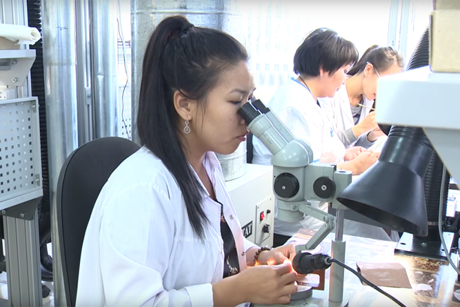 Harnessing Science Technology And Innovation For The Sustainable