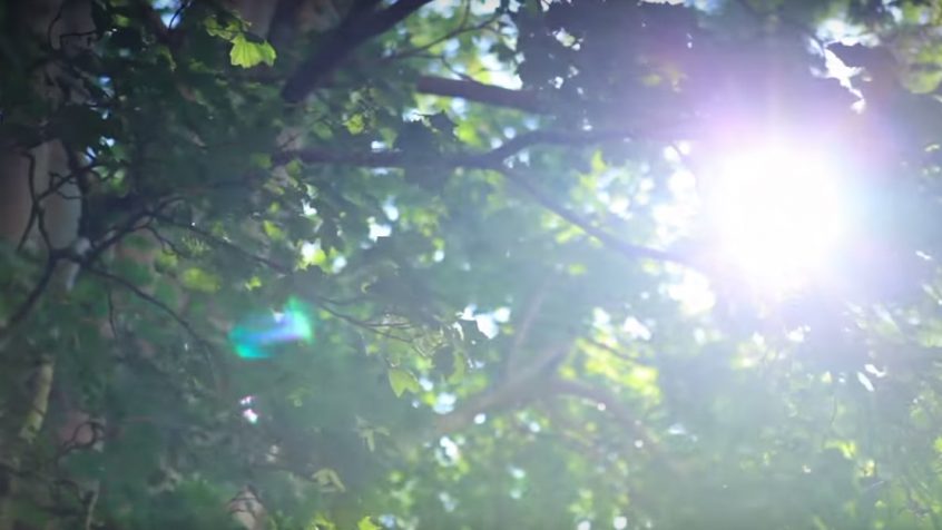 Key Issues | UN DESA | United Nations Department of Economic and Social ...