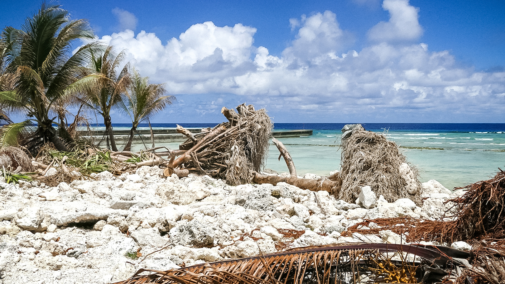 In the spotlight: Ocean action and efforts to combat climate change ...