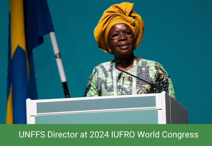 United Nations Forum on Forests