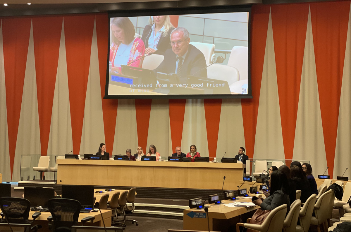 Helping make the UN more accessible for persons with disabilities ...