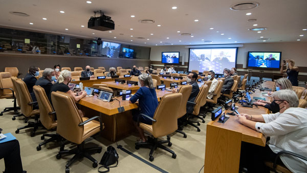 High-Level Expert Group on the Net-Zero Emissions Commitments of Non ...