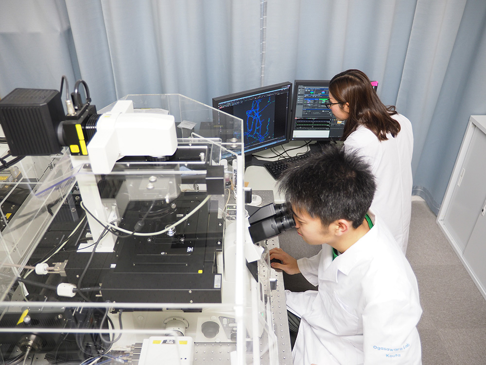 Resources for Researchers | United Nations