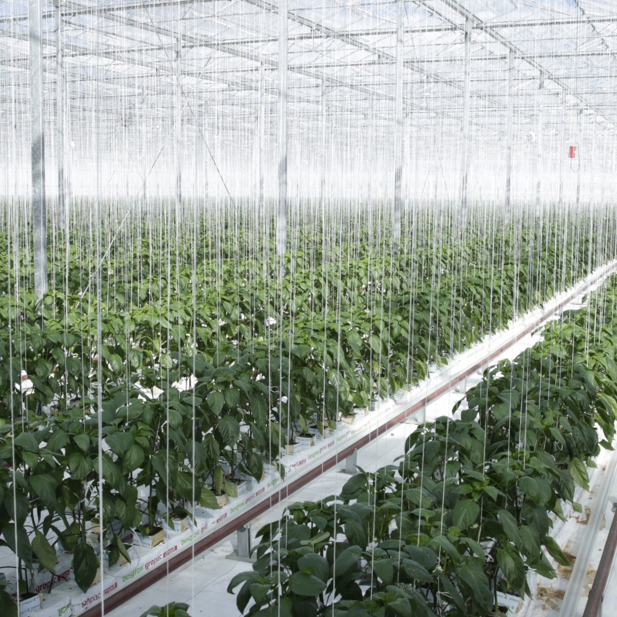 Goal 13: Climate Change - United Nations Sustainable Development