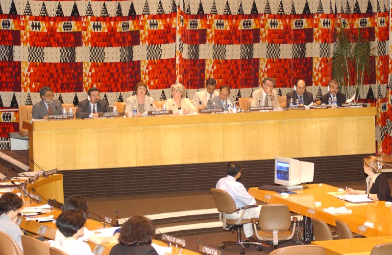 Ecosoc Panel Discussion On Gender Mainstreaming In The Functional